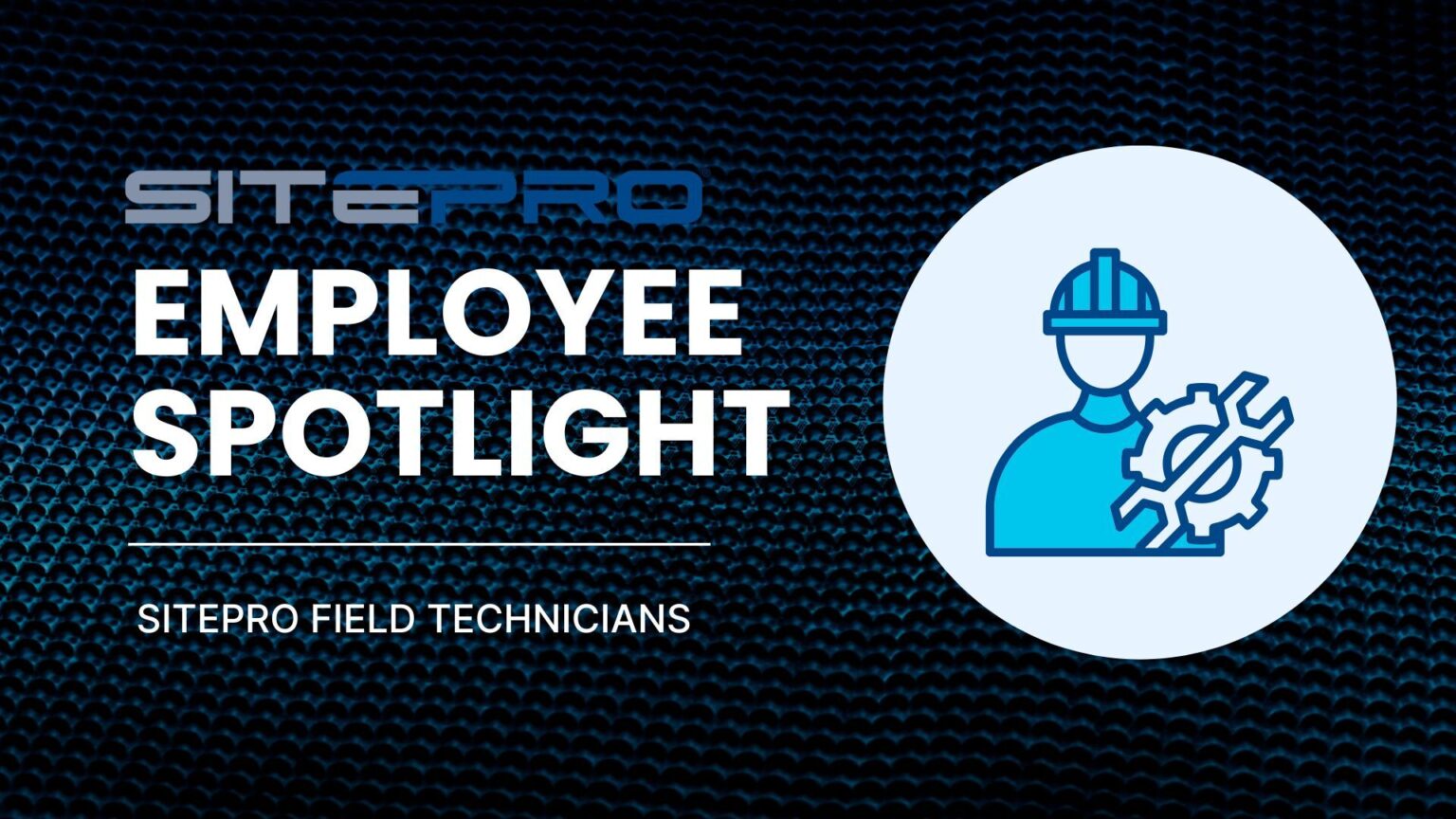Employee Spotlight: Operations Team Members - SitePro
